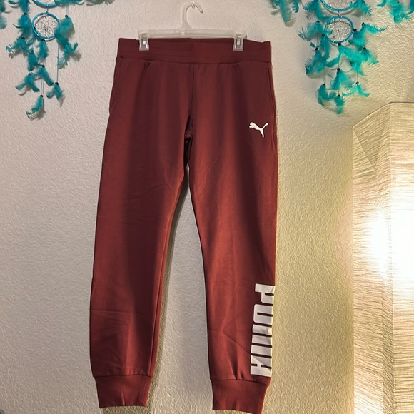 Puma | Other | Puma Sweatpants Bin2 | Poshmark